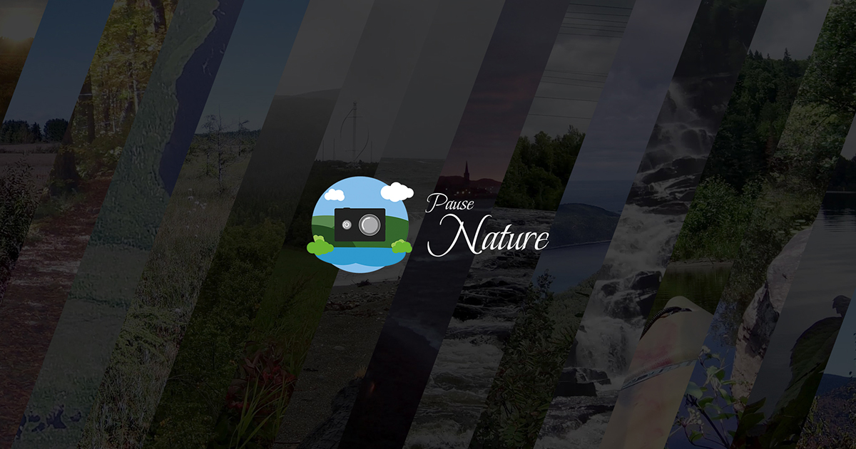 SlowTV - Pause Nature